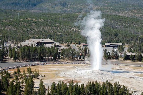 What Makes Old Faithful So Faithful? | Scenic Safaris