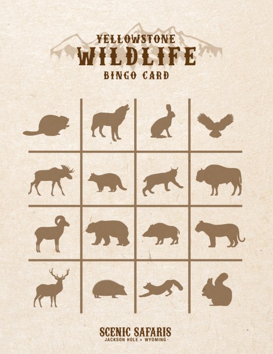 Every Animal To Scratch Off Your Yellowstone Wildlife Bingo Card ...